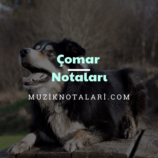 Çomar Notaları - Müzik Notaları
